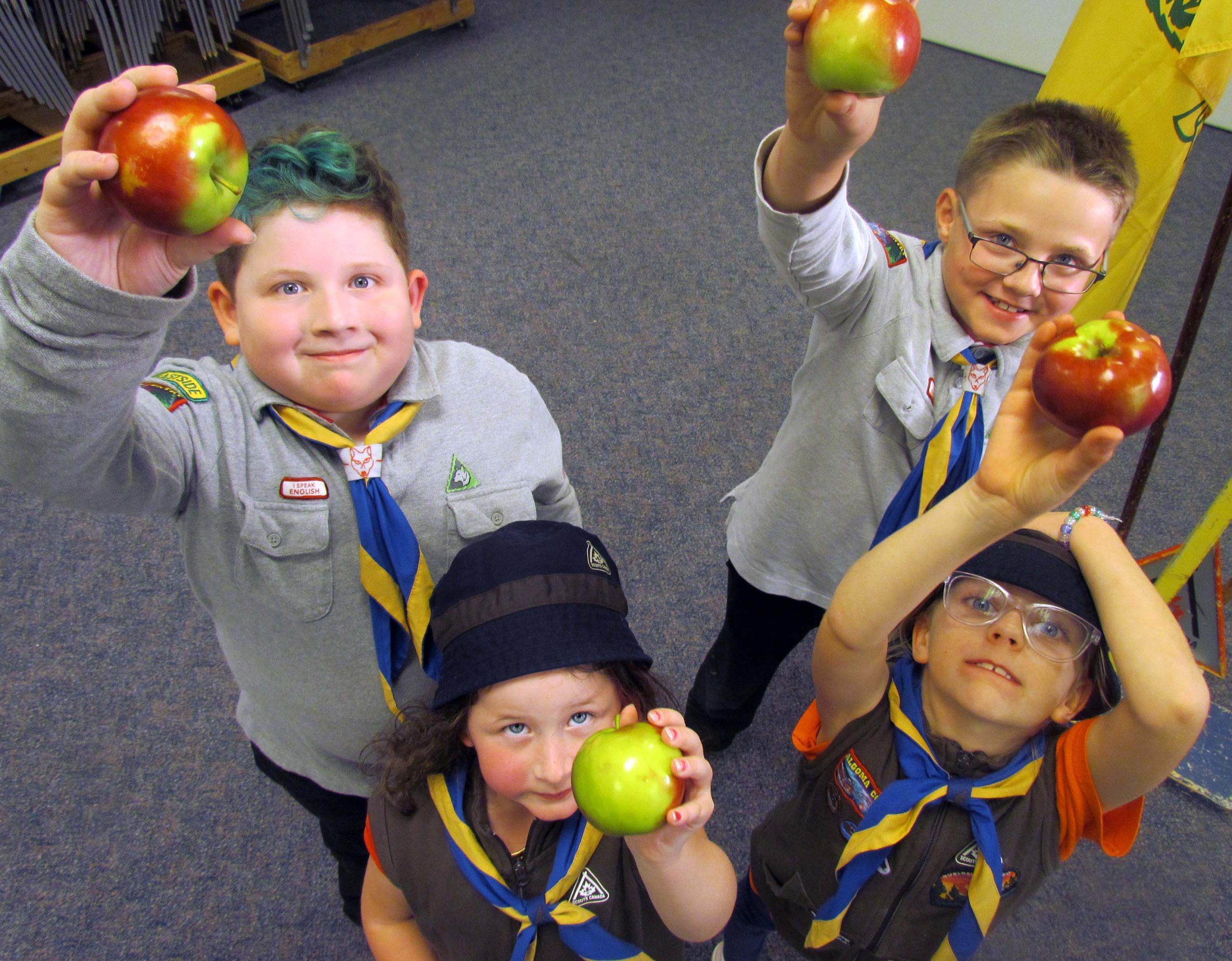 Scouting tradition continues in Sault Ste. Marie | Mid-North Monitor