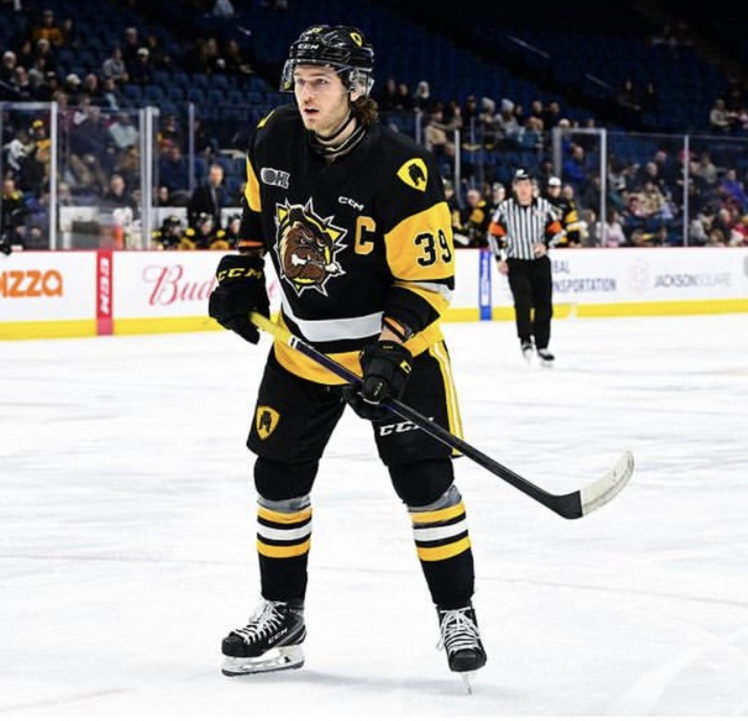 Bulldogs captain praises atmoshphere at civic centre | Brantford Expositor