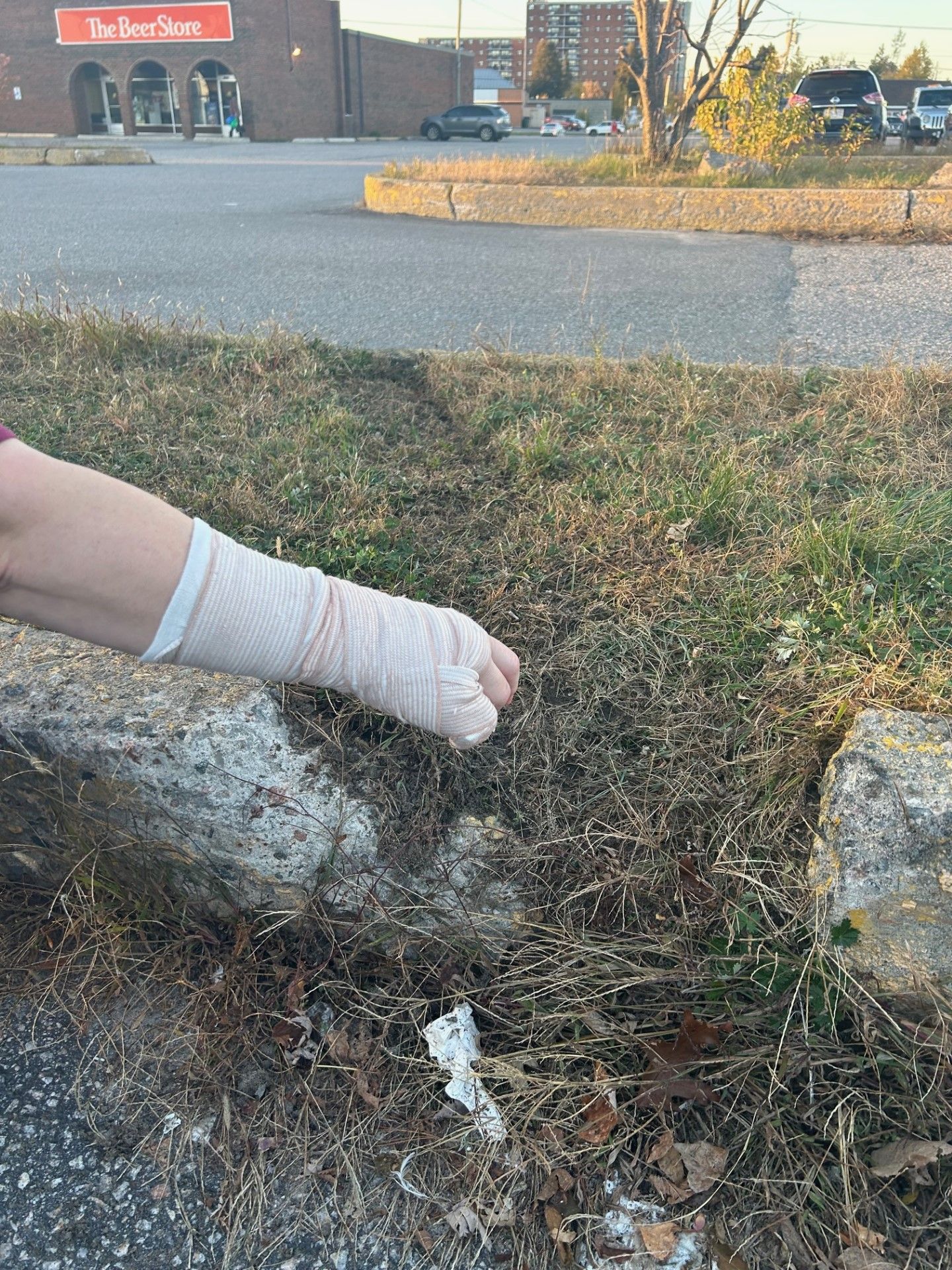 Tammy Gale punches window to stop truck thief | The Daily Press