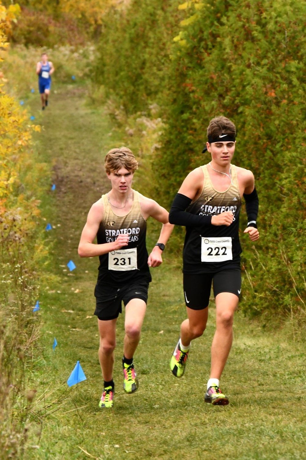 Perth County runners dominate regional cross-country championships ...