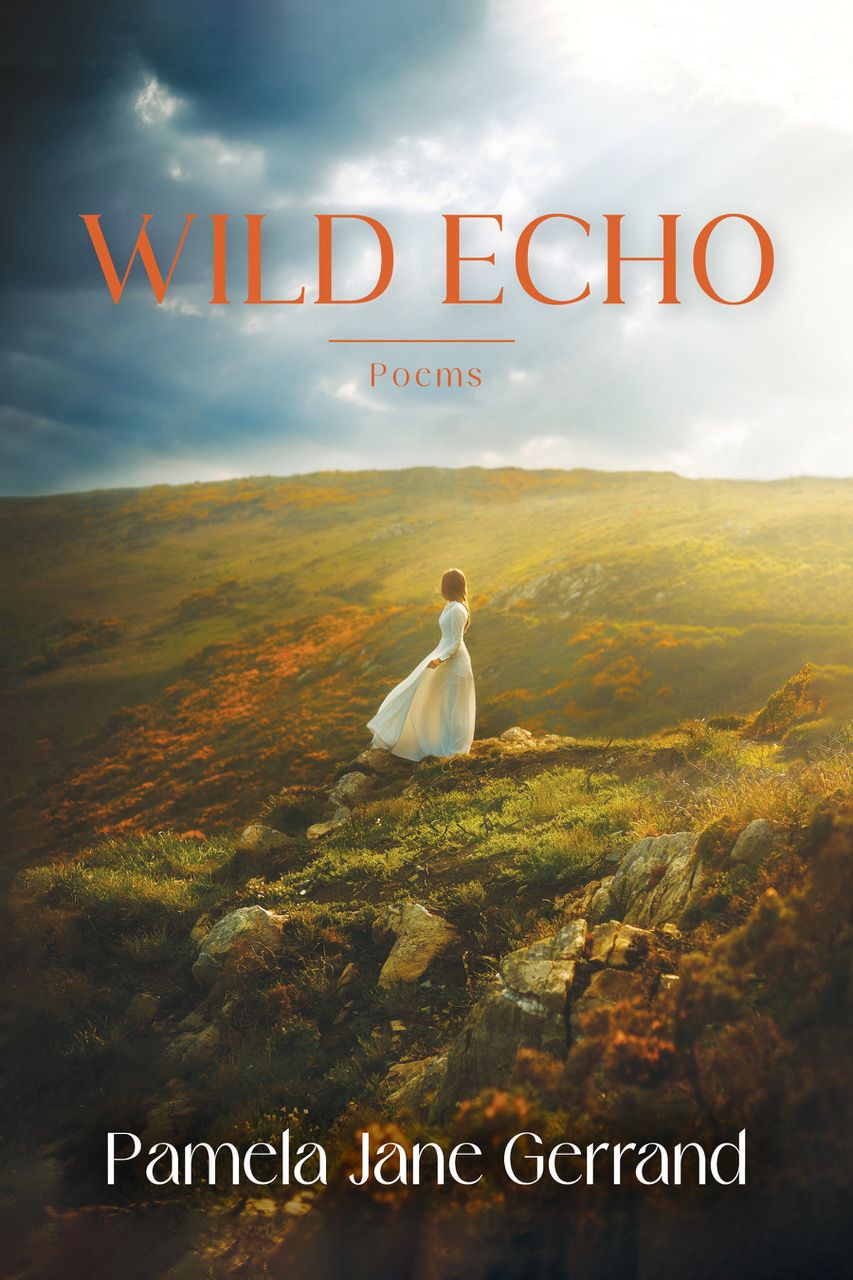 Stratford singer-songwriter to release new poetry book, Wild Echo | The Stratford Beacon Herald