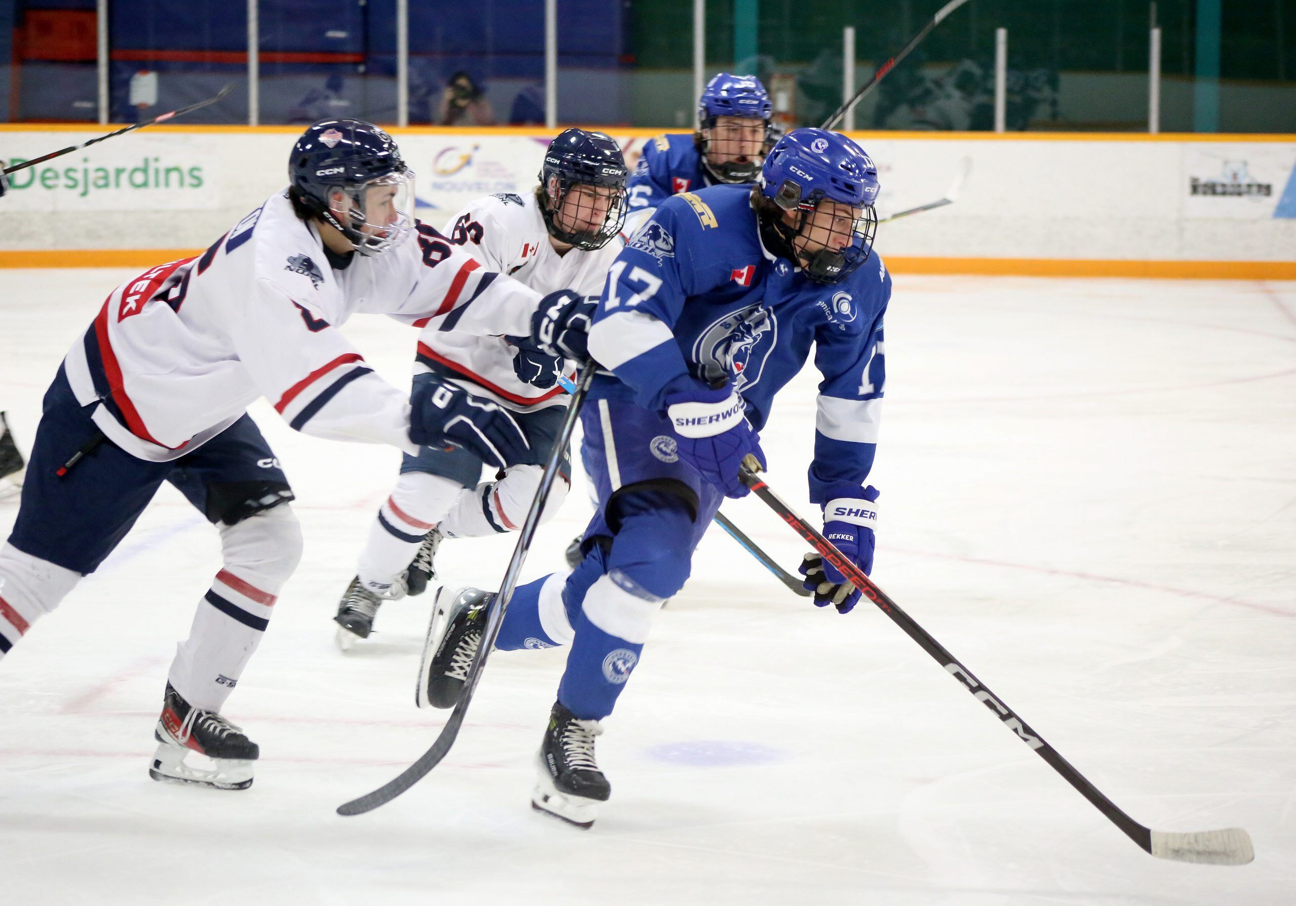 Brother act delivers in OT as Cubs end brief skid | Sudbury Star