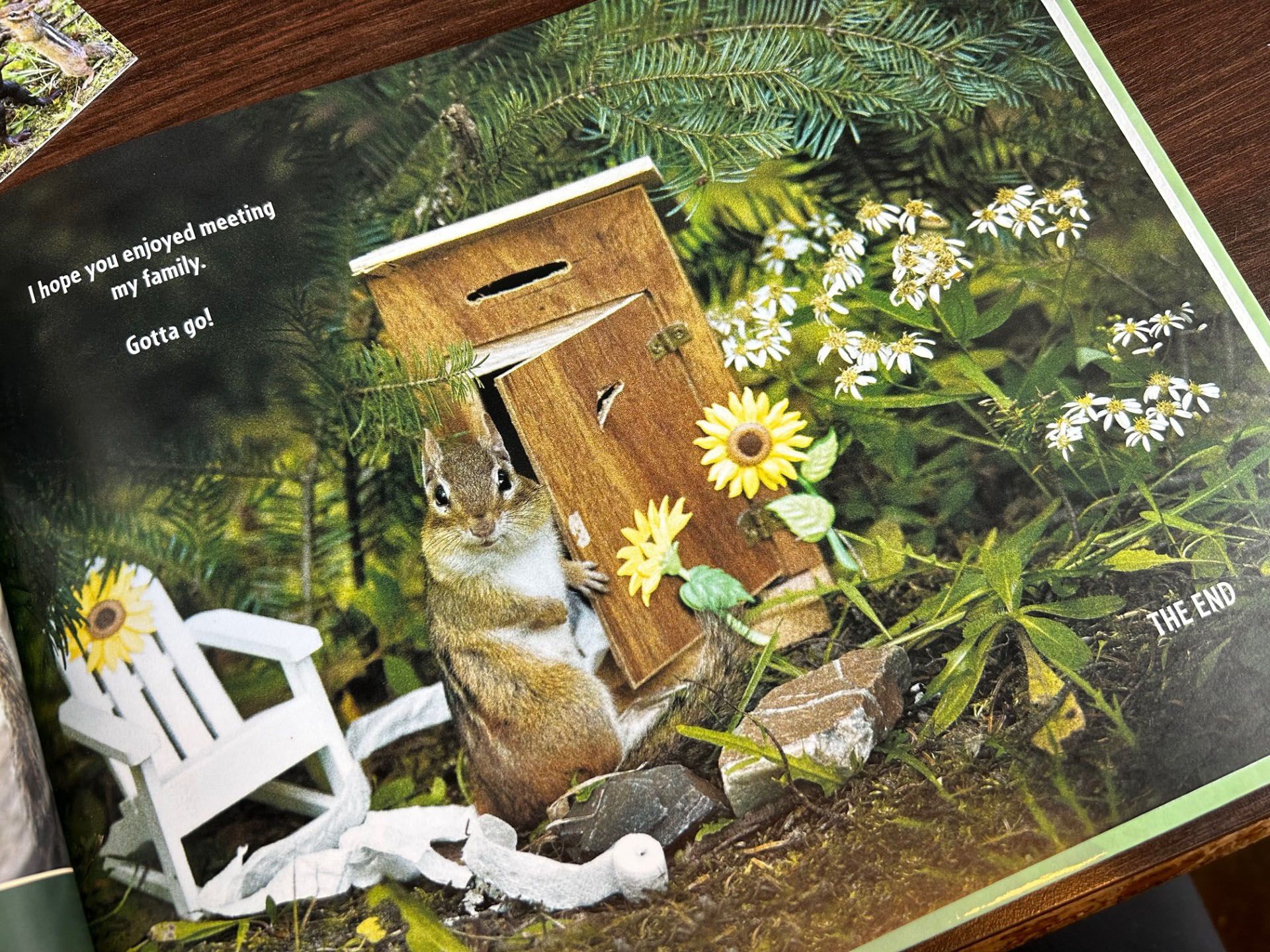 North Bay author creates small sets and uses live chipmunks in book ...