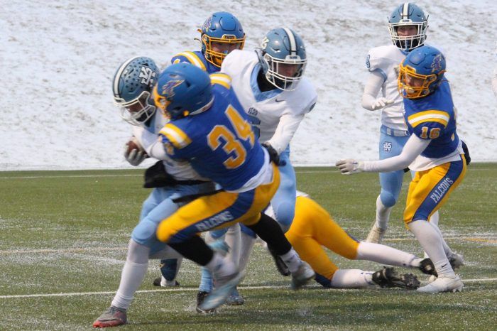 Tossed from Metro playoff run, Facey, Sal ready for provincials ...