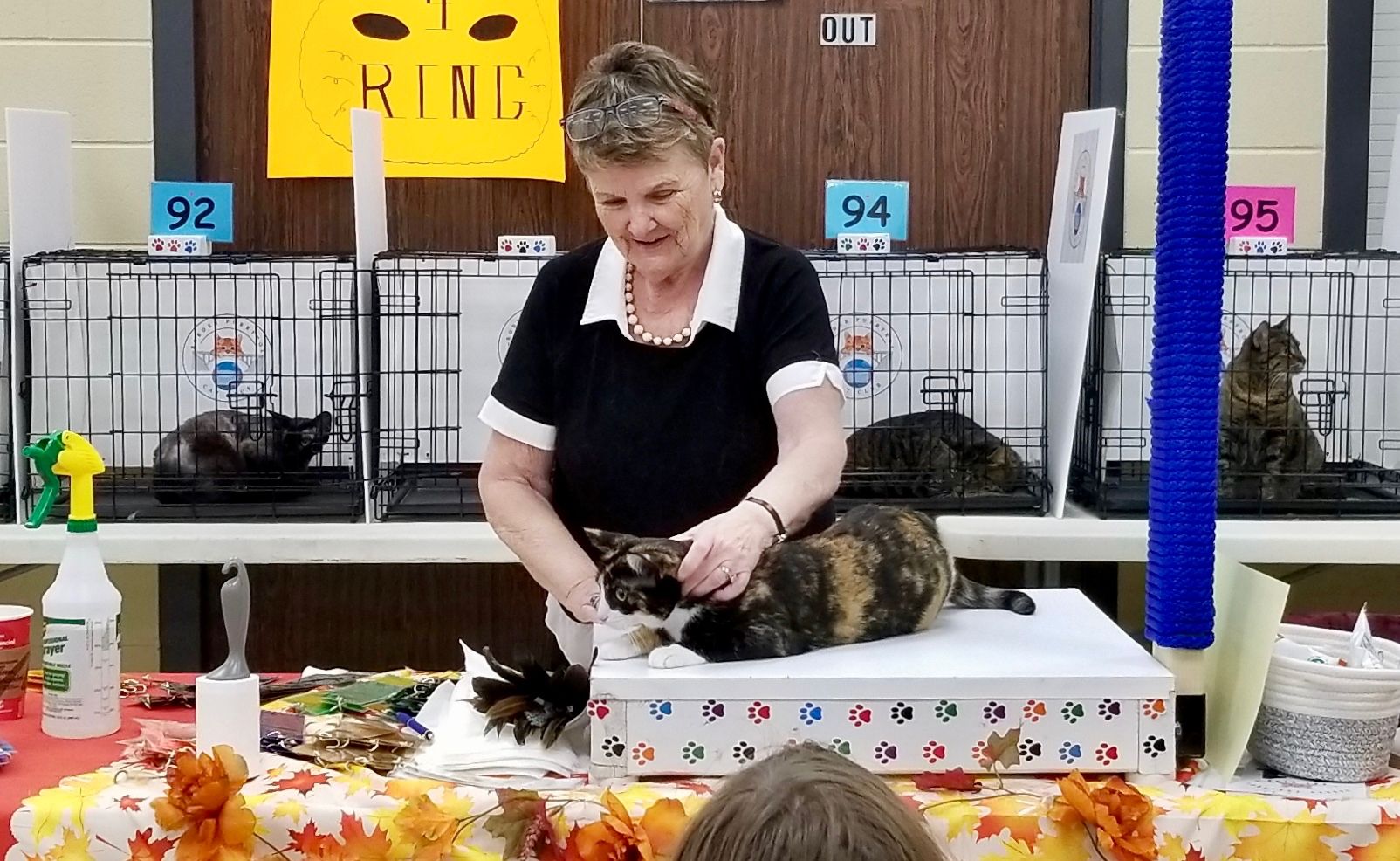 Cat show perfect place for cat lover to celebrate birthday | Owen Sound ...