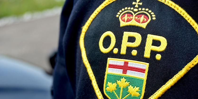 Norfolk OPP hosting constable information session | The Stratford ...