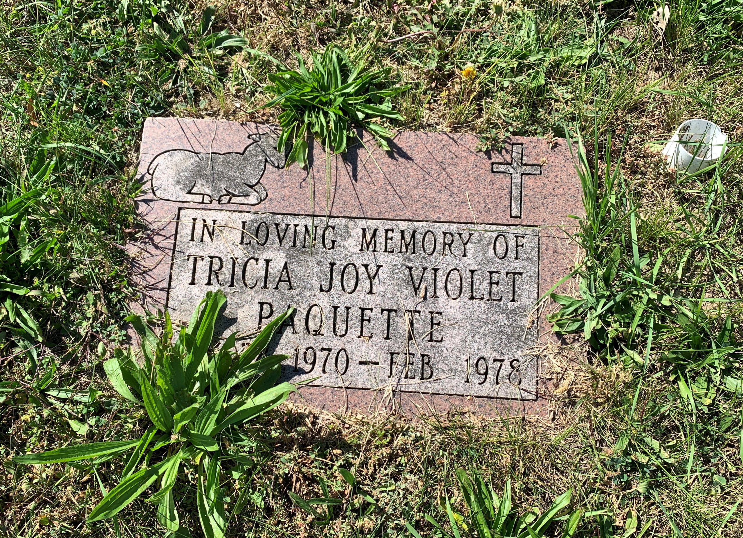 Mystery of murdered 8-year-old still disturbs her sister | Simcoe Reformer