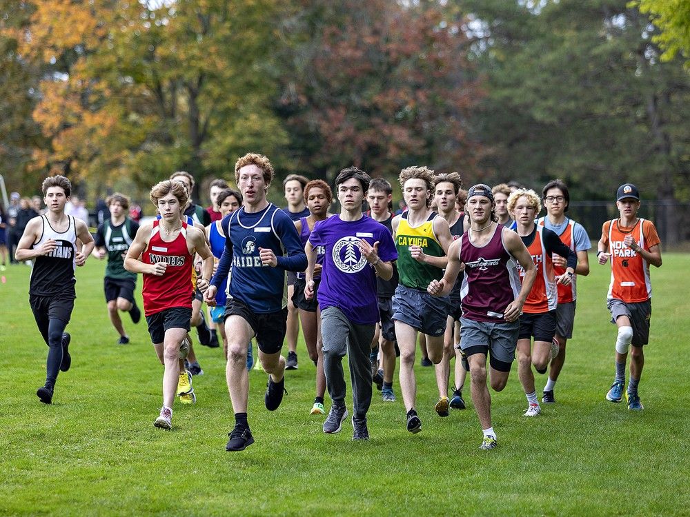 Cross-country champions crowned | Brantford Expositor