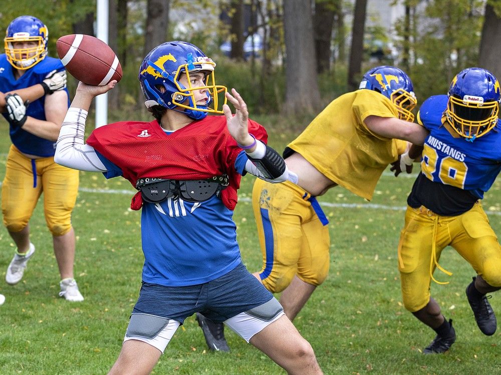 Mustangs come up short in football playoff push | Brantford Expositor