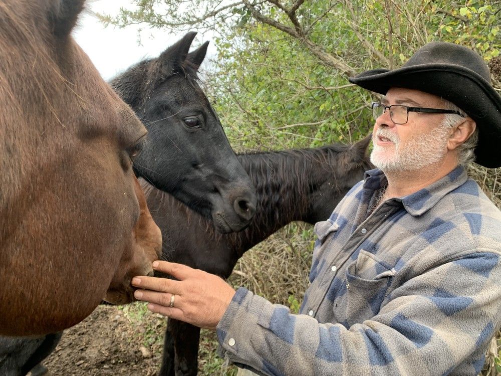 Horses get a new lease on life at Second Chance Ranch near Kingston ...