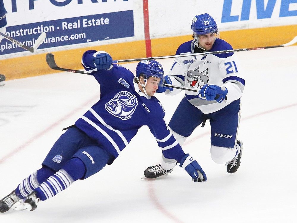 Wolves get solid response in 5-2 win over Steelheads | Sudbury Star