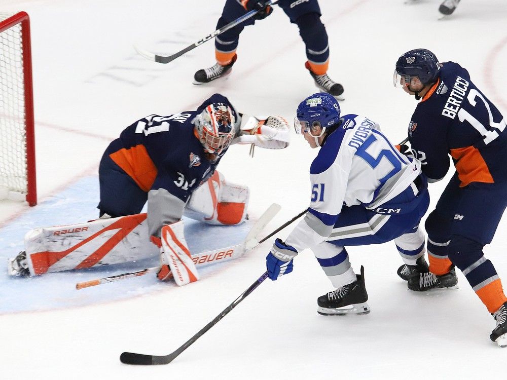 Dvorsky gets first OHL goal, but Wolves can’t complete comeback ...