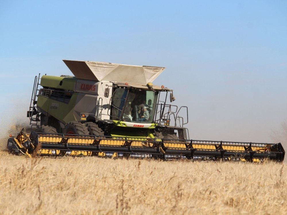 Crops | Ontario Farmer