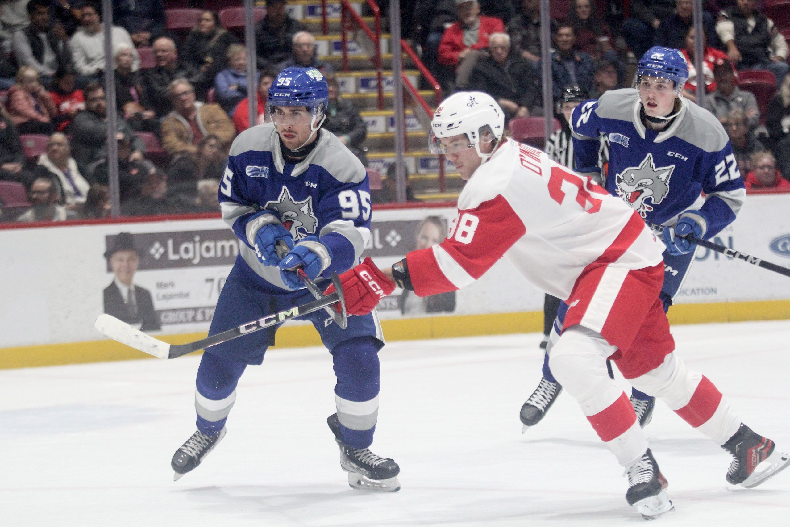 Wolves D-man DeAngelis named to CHL Team of the Month | Ottawa Citizen