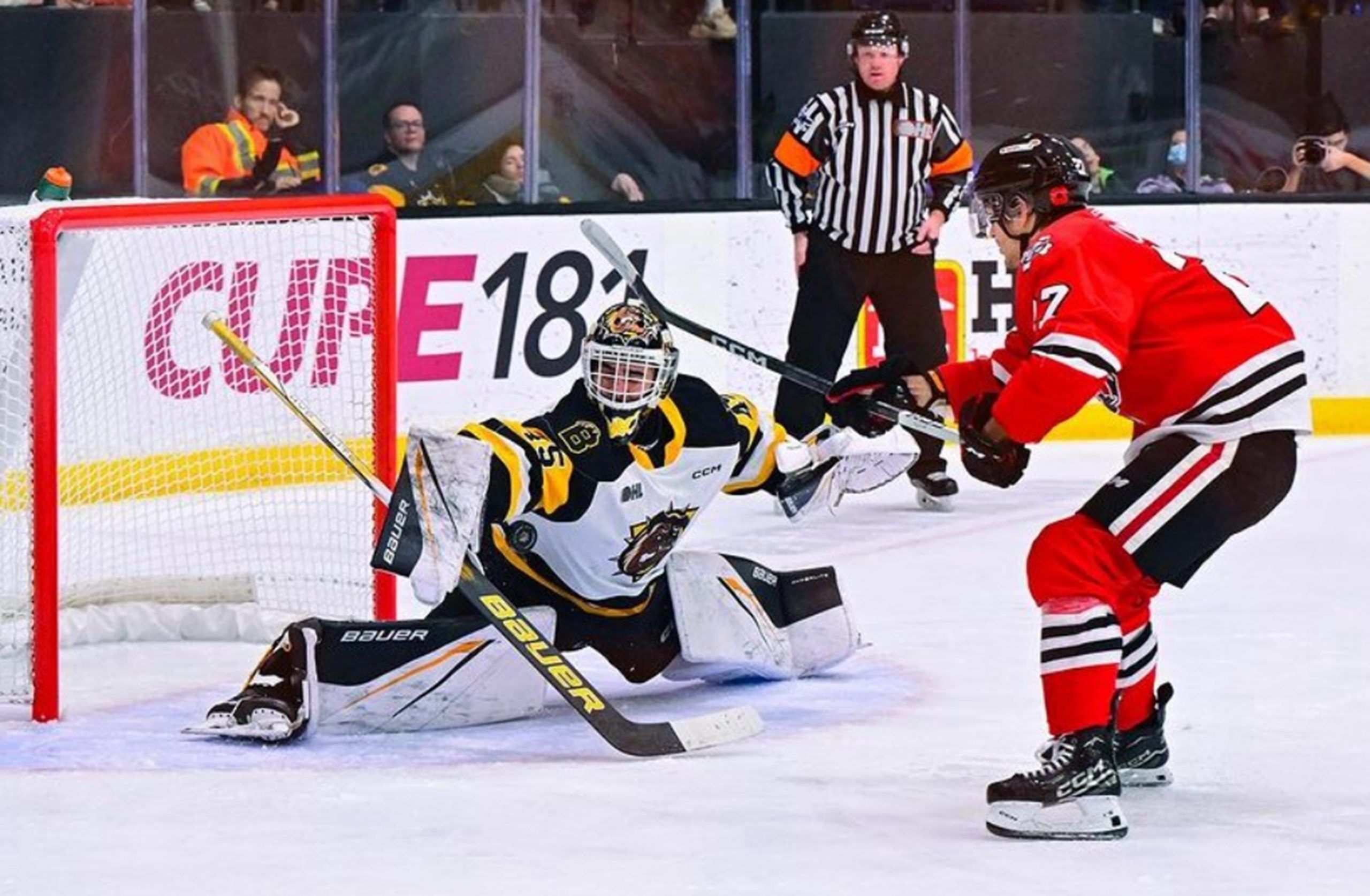 Drobac getting hot between pipes for Bulldogs | Brantford Expositor