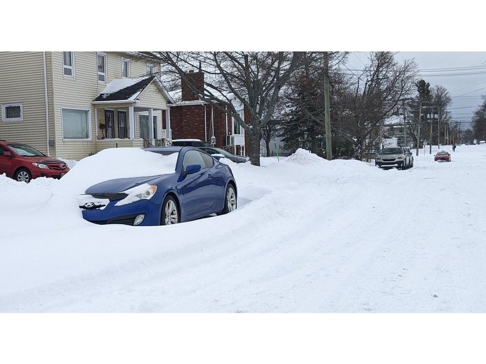 Winter parking bans in Moncton, Riverview, Dieppe | Telegraph-Journal
