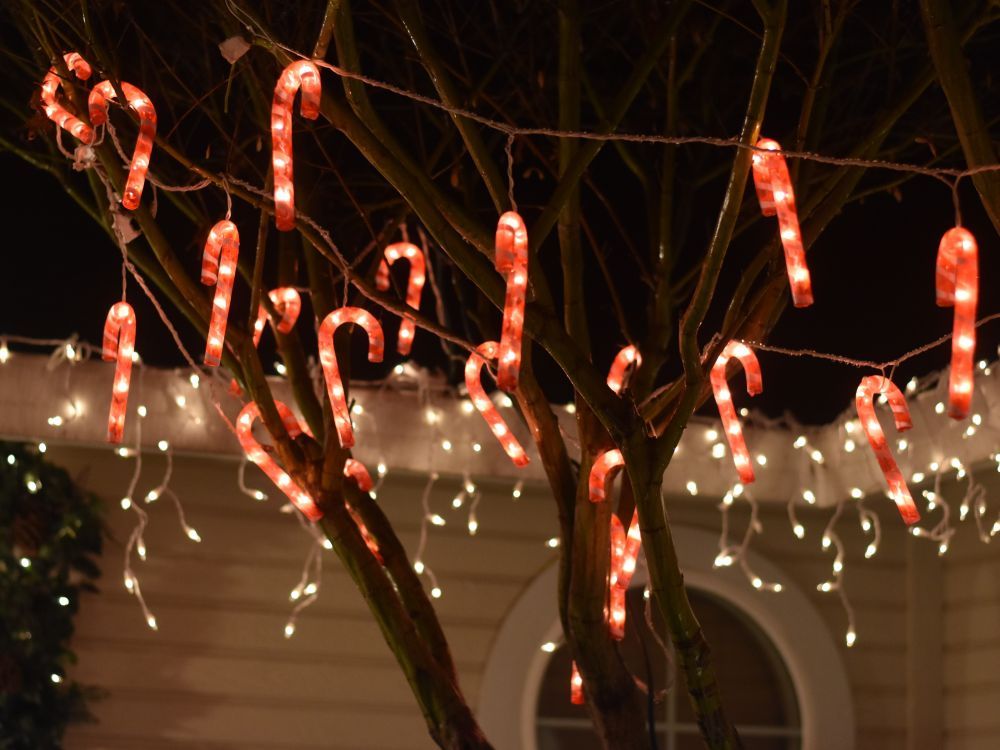 Candy canes aplenty for St. Stephen parade | Telegraph-Journal