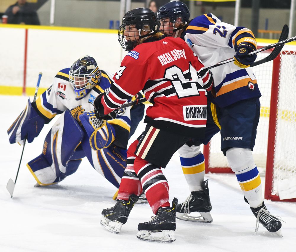 Hawks hold up during home stand, but road test awaits | Mitchell Advocate