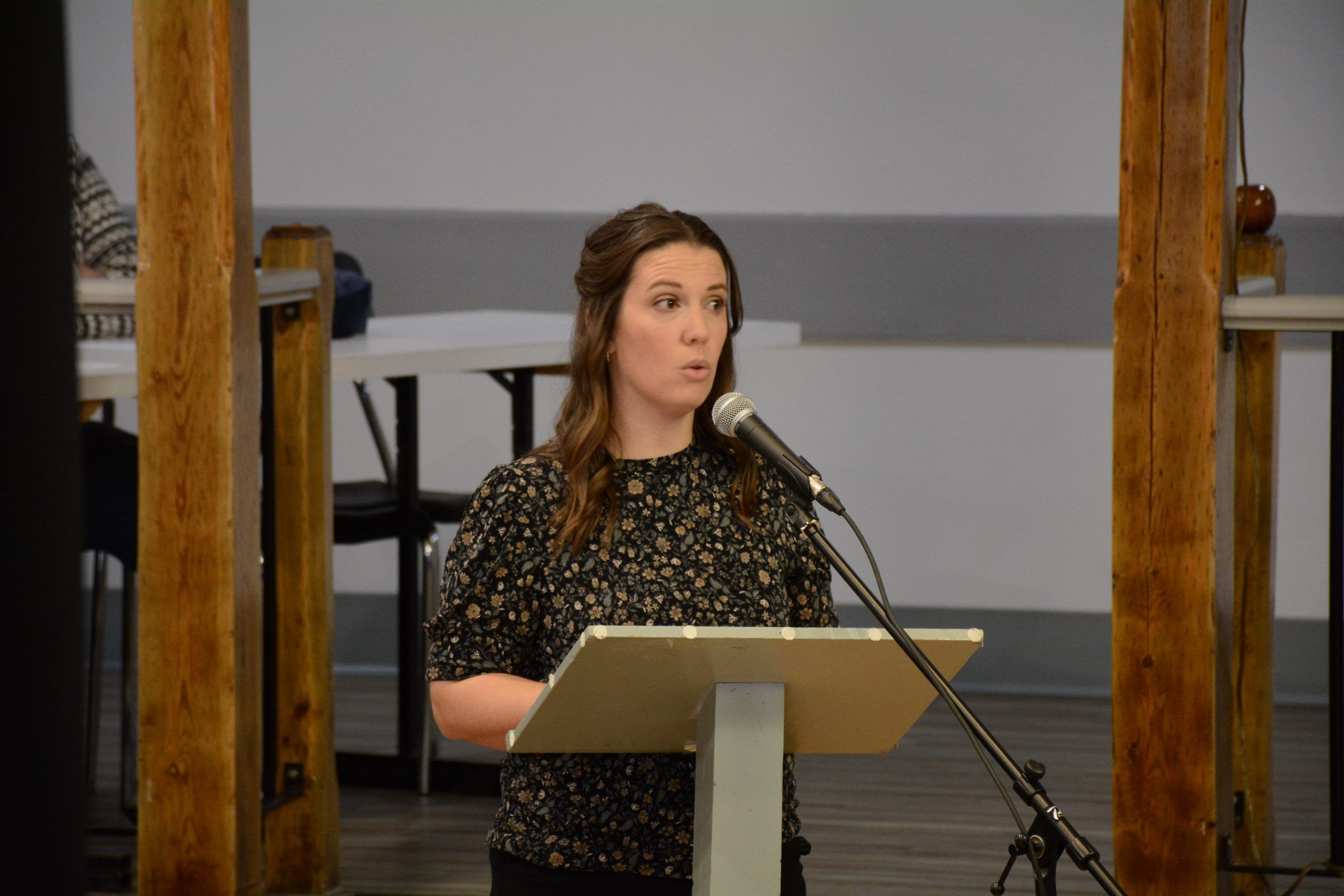 Elizabethtown-Kitley bans battery energy storage site | Brockville ...