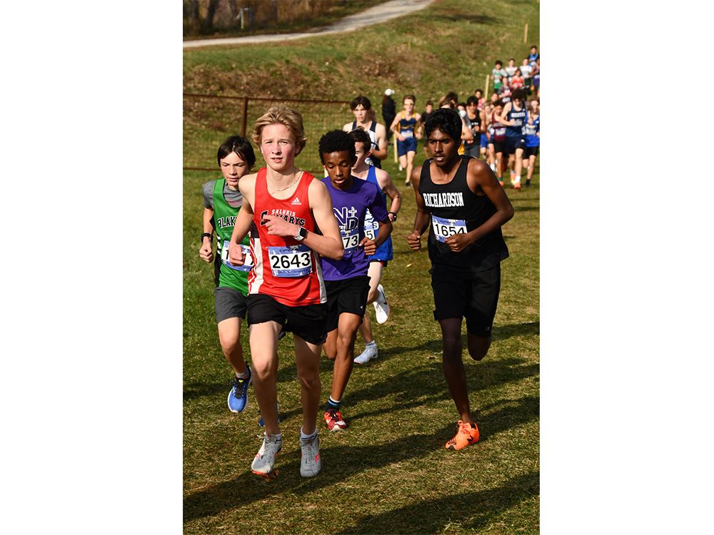St. Marys DCVI novice boys third at OFSAA cross-country championships ...