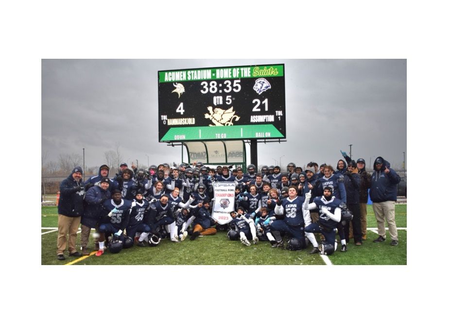 'Total team effort' leads Lions to OFSAA football title | Brantford ...