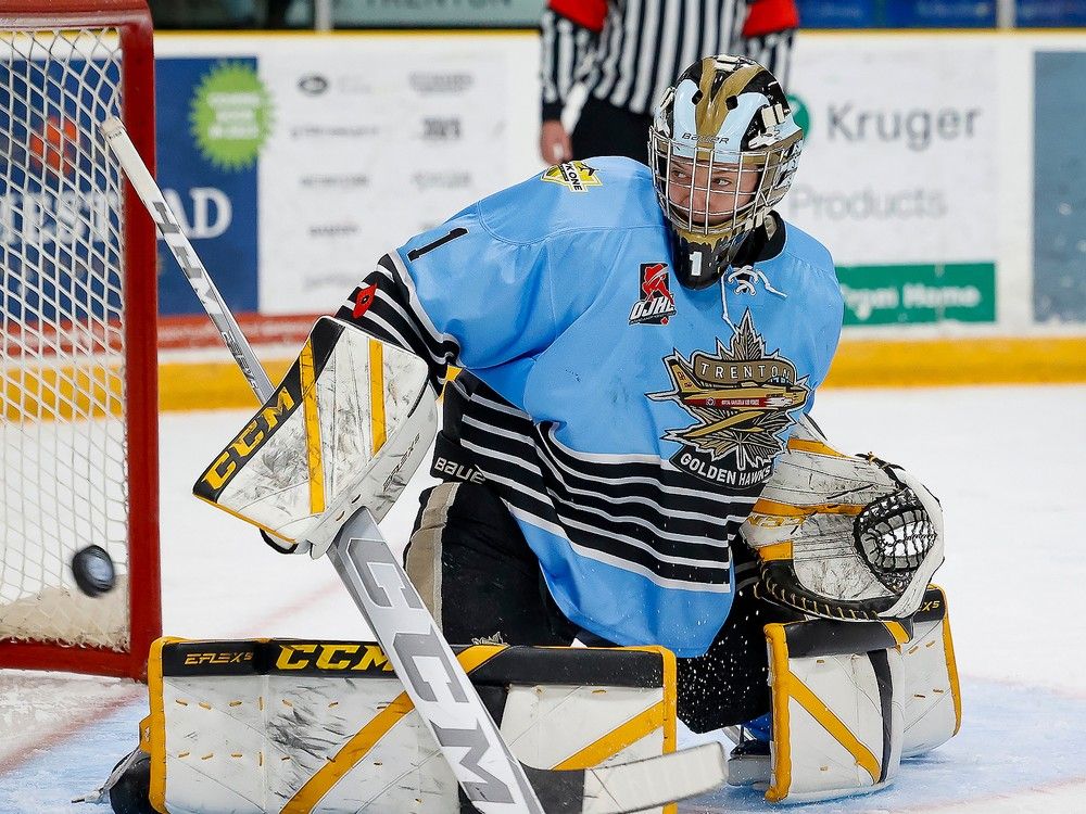 Golden Hawks run win streak to eight games | Belleville Intelligencer