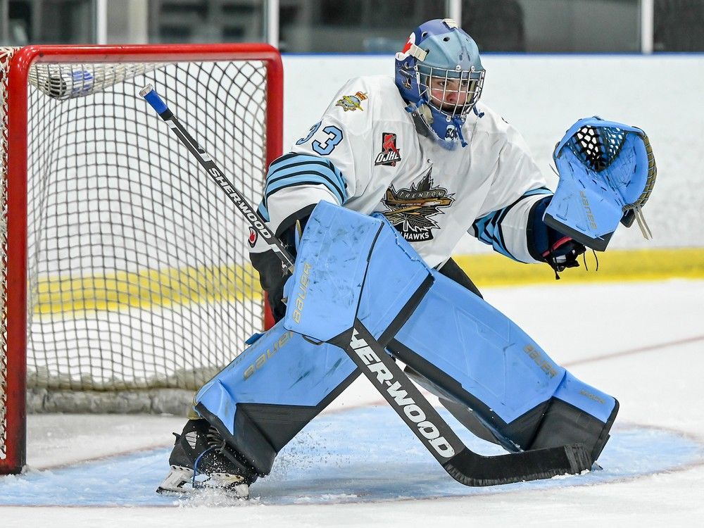 Golden Hawks run point streak to 12 games | Grande Prairie Daily Herald ...