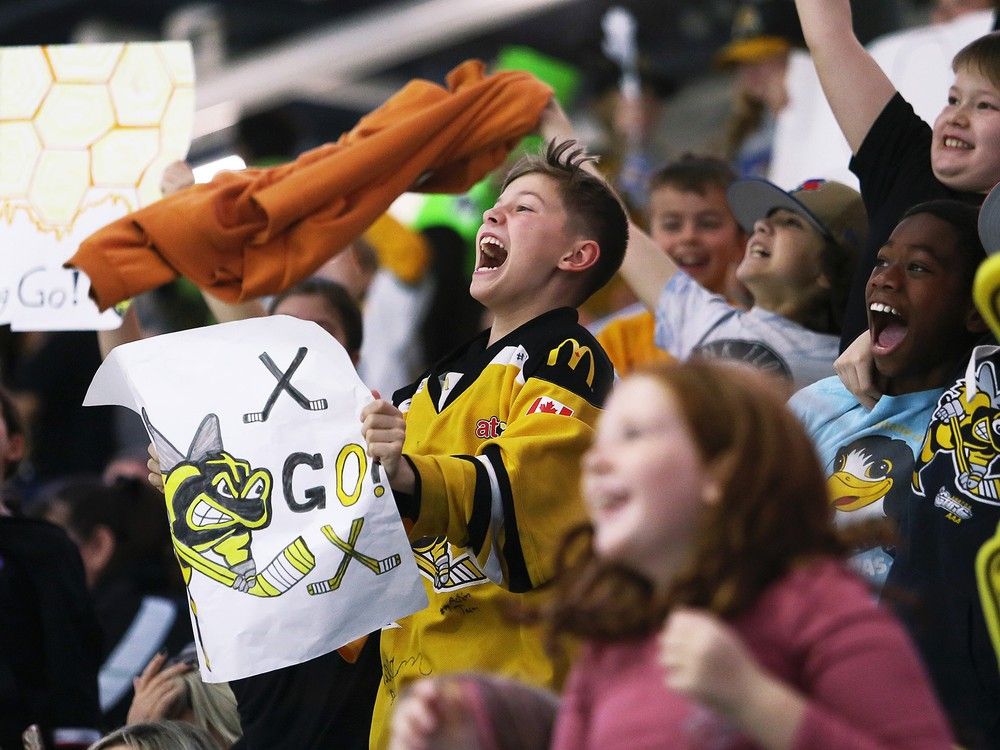 Sarnia Sting fill stands during rebuilding season | The Sarnia Observer