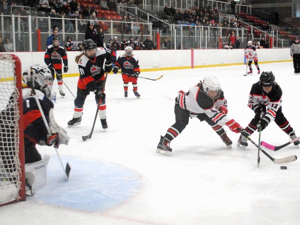 Two Cornwall Typhoons teams nab gold in Fall Faceoff House tournament ...