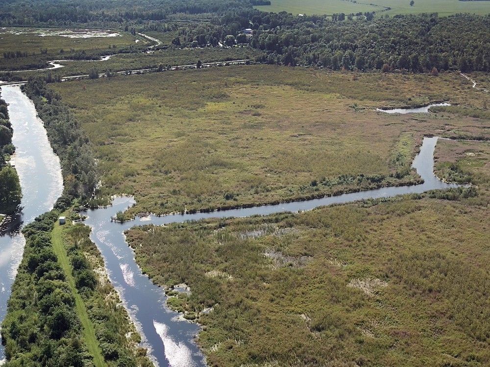 Briefs: 10 acres added to Cooper Marsh Conservation Area | Cornwall ...