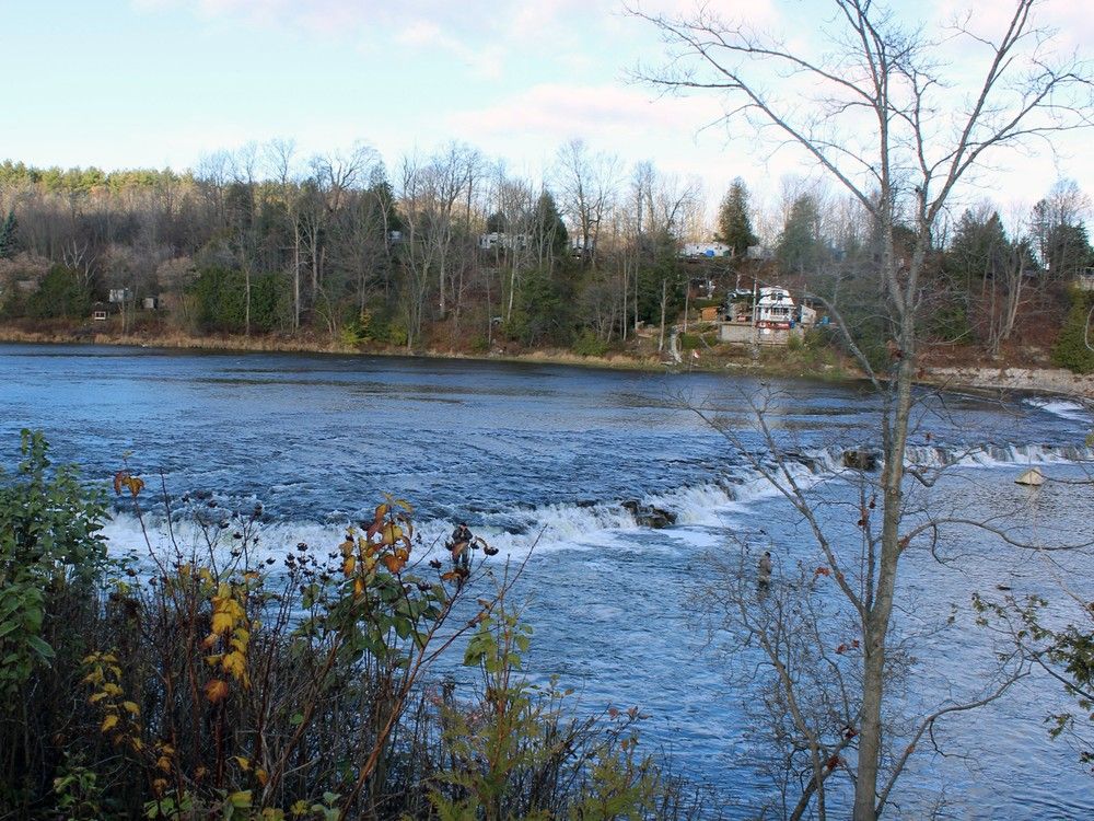 Trail Talk: A trip to the Falls Reserve Conservation Area | Owen Sound ...