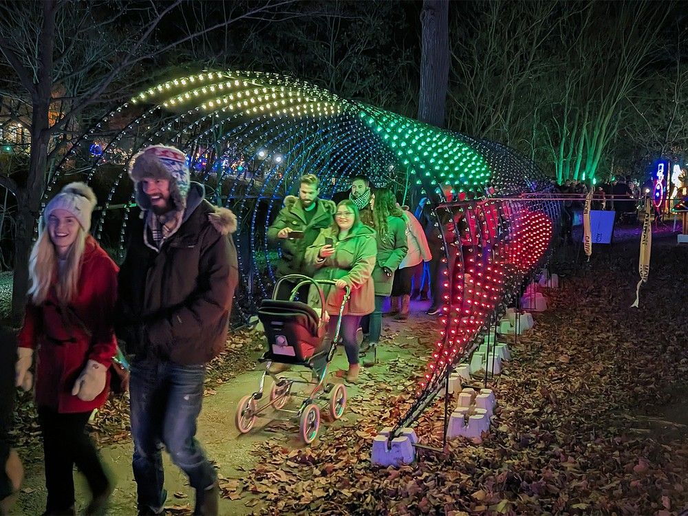 Owen Sound's Festival of Northern Lights has 'very busy' year | Owen ...