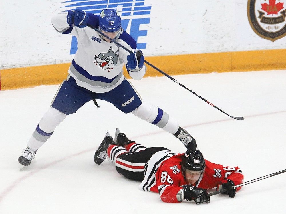 Krawchuk wins netminding battle as Wolves edge IceDogs at home ...