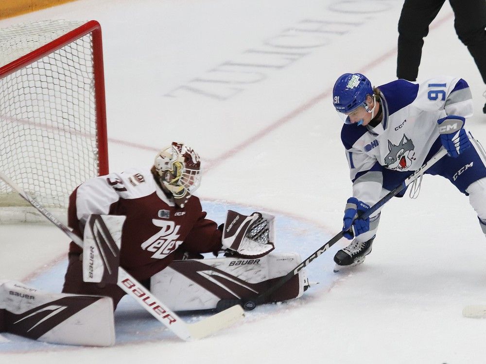 Wolves get much better effort, same result in loss to Petes | Sudbury Star