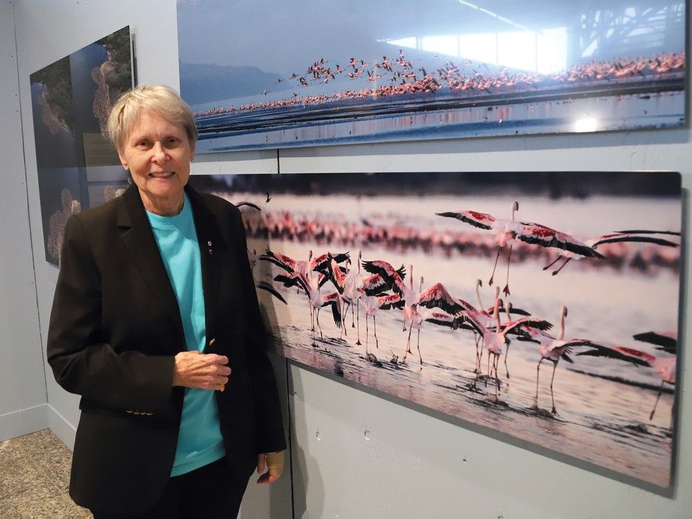 Astronaut's photo exhibit captures birds and their struggle to survive ...