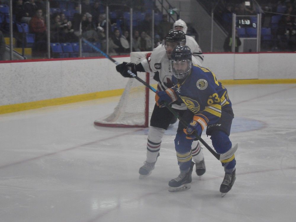 Local senior hockey team has won four games in a row | Telegraph-Journal