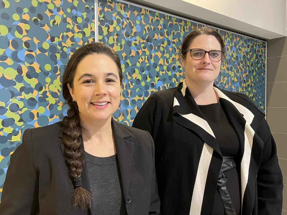 ‘Political will’ needed in N.B. housing crisis: researcher | Telegraph ...