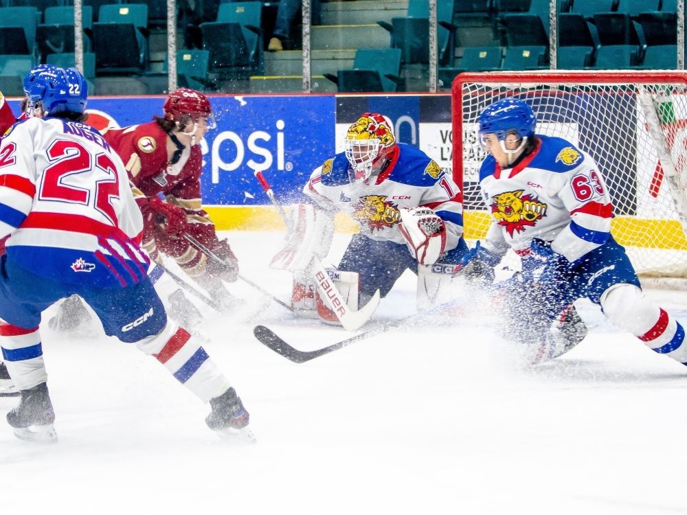 Wildcats captain leads Moncton to win over Acadie-Bathurst | Telegraph ...