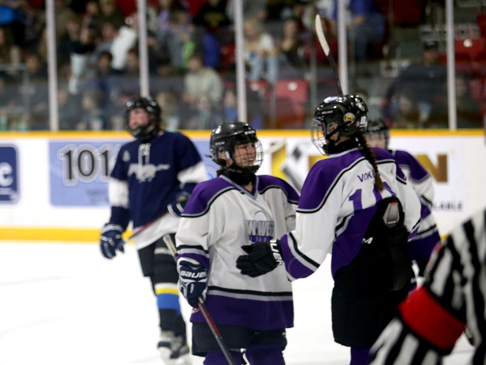 Hockeyfest opens in Owen Sound with high school rivalry games | Owen ...
