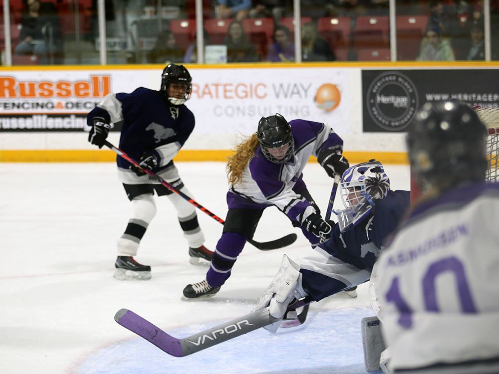 Hockeyfest opens in Owen Sound with high school rivalry games | Owen ...