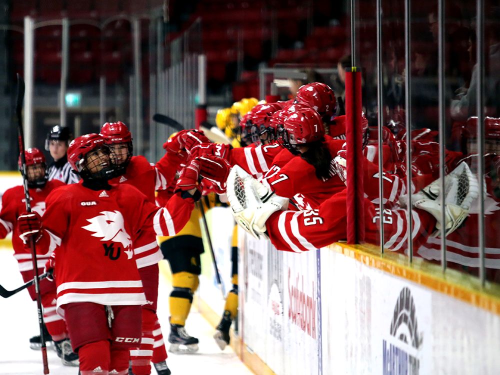 OUA game highlights Hockeyfest in Owen Sound Saturday | Owen Sound Sun ...