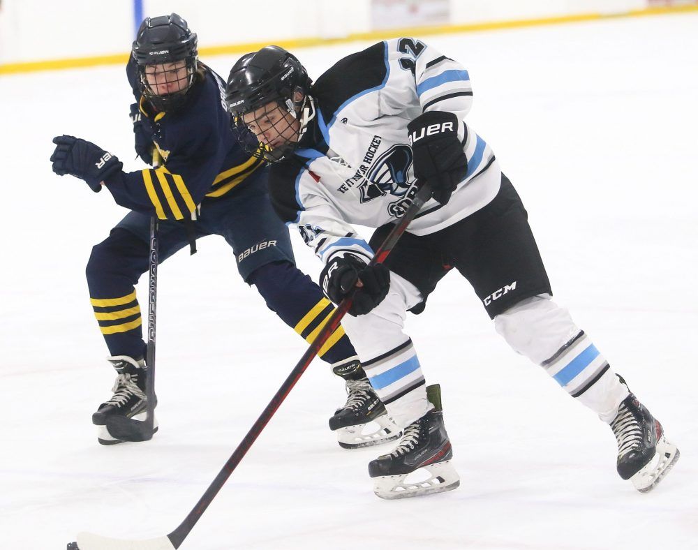 Three Cobras teams advance to Silver Stick finals | Chatham Daily News