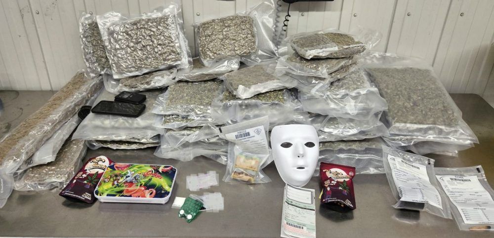 SDG OPP lays drug charges after pulling vehicle over for speeding ...