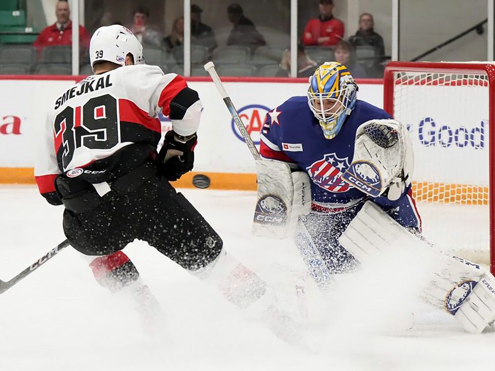 Ostapchuk strikes twice as Sens take three-of-four points from Amerks ...