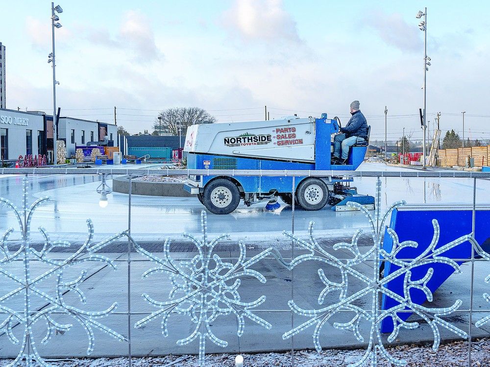 Polar Bare Skate | Sault This Week