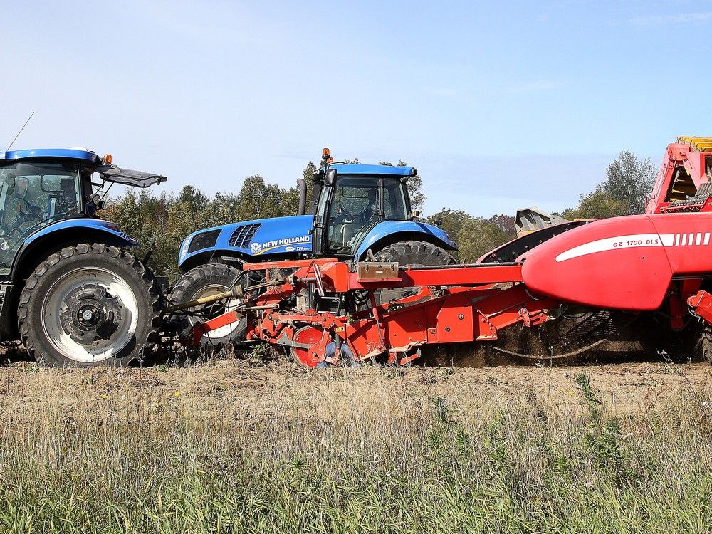 Thieves targeted Blezard Valley potato-growing operation | Sudbury Star