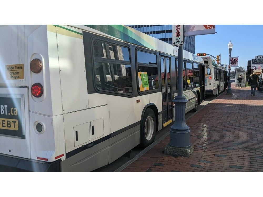 Codiac Transpo offers free U-12 bus passes | Telegraph-Journal