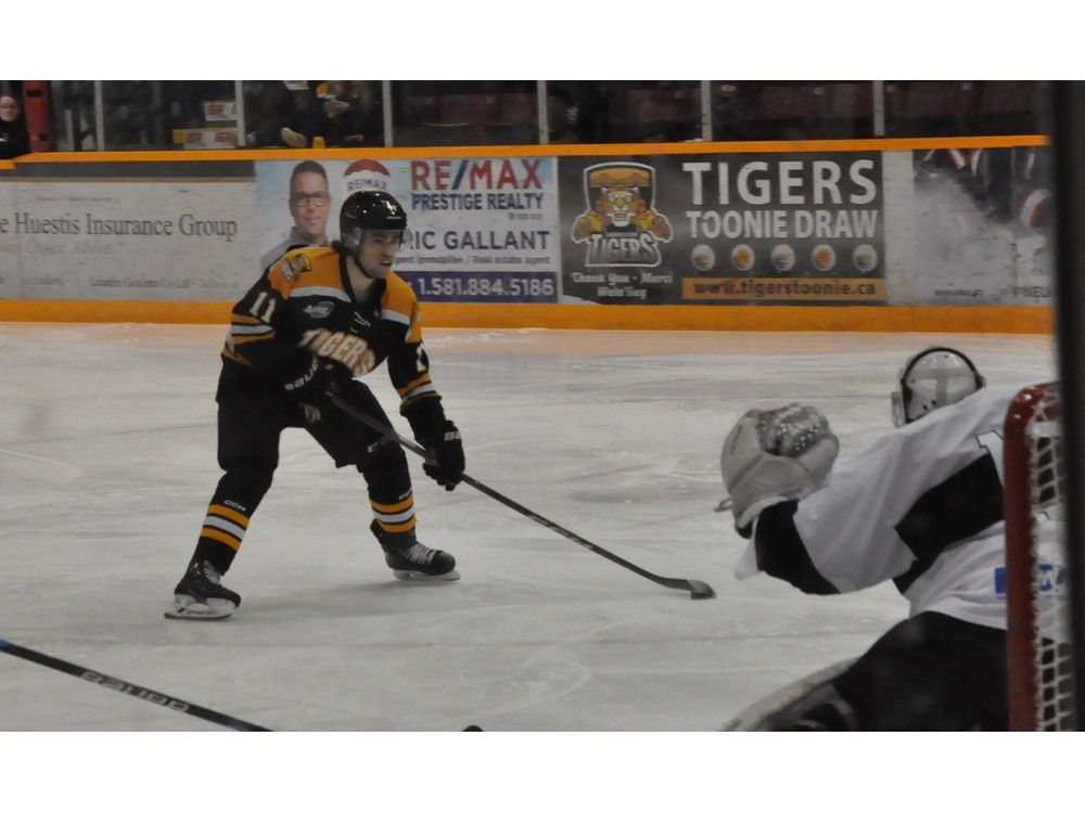 Tigers offensive struggles continue in two losses | Telegraph-Journal