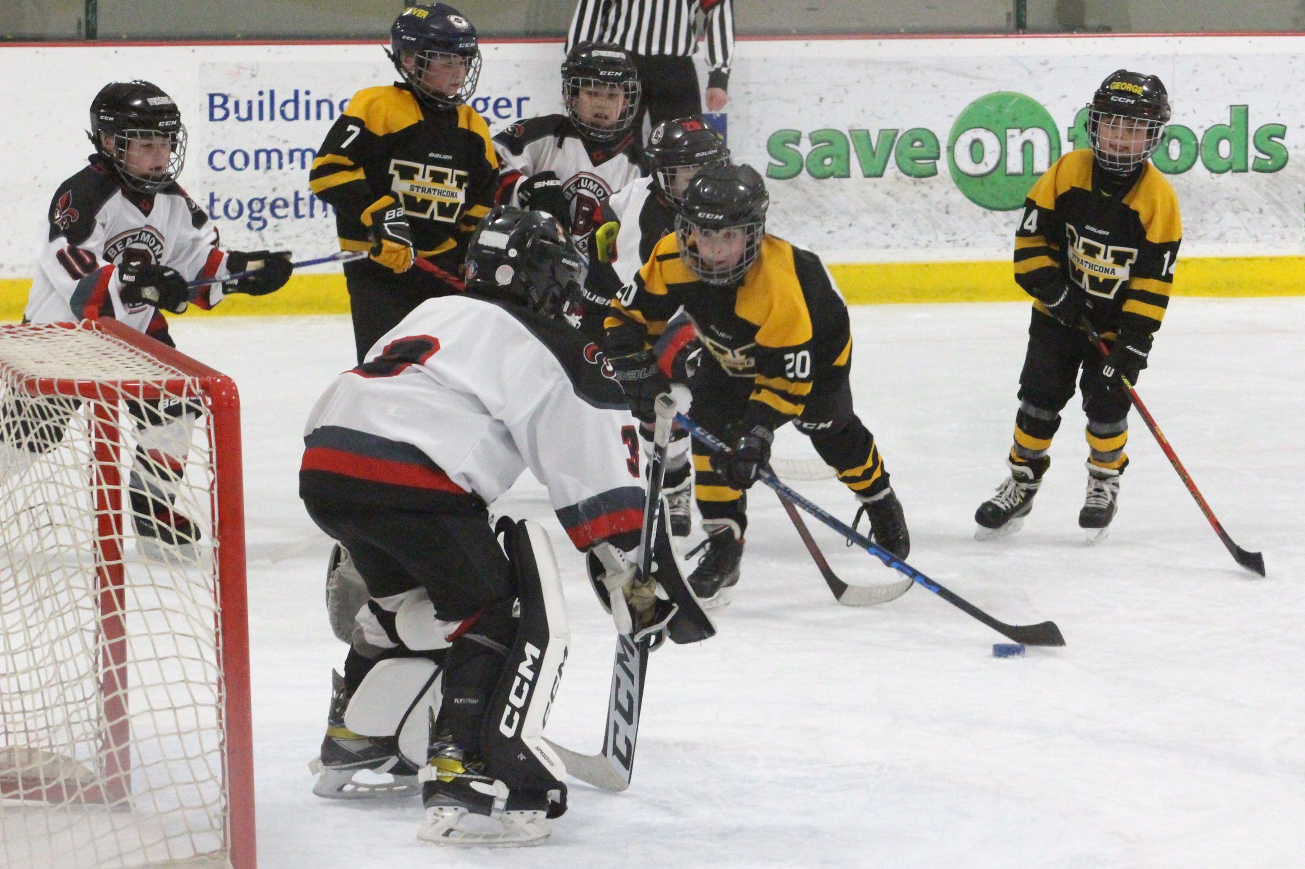 Love for the game showcased at SPMHA U9 tourney | Sherwood Park News