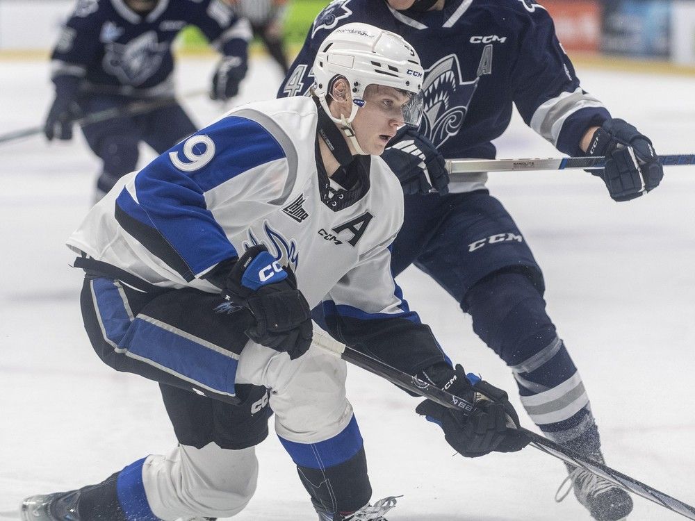 NBers hit Central scouting list | Telegraph-Journal